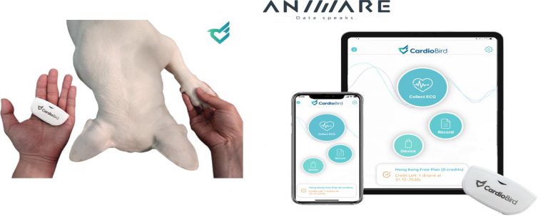 Portfolio - HKAI LAB